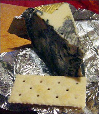 Zombie cheese - Uncyclopedia, the content-free encyclopedia