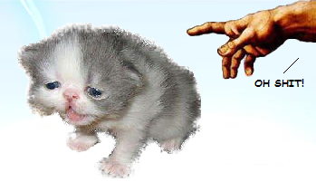 Unintelligent Design - Uncyclopedia, the content-free encyclopedia