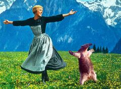 Category:Films - Uncyclopedia, the content-free encyclopedia