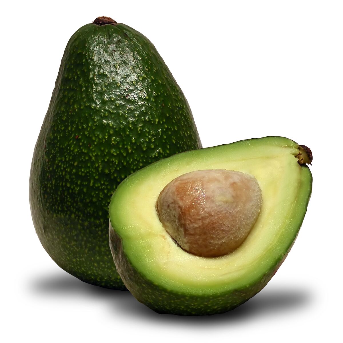 Avocado - Uncyclopedia, the content-free encyclopedia Avocado - Uncyclopedia, the content-free encyclopedia