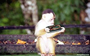 PlayStation Portable - Uncyclopedia, the content-free encyclopedia