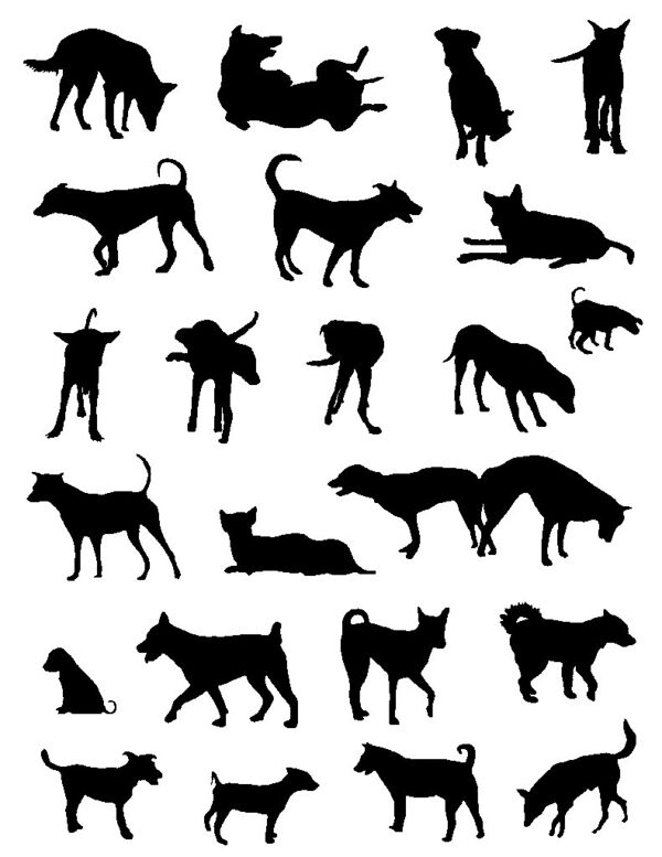 Generic Dog - Uncyclopedia, the content-free encyclopedia