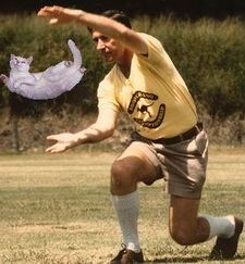 Cat juggling - Uncyclopedia, the content-free encyclopedia