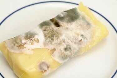 Trellech - Uncyclopedia, the content-free encyclopedia