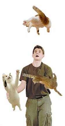 Cat juggling - Uncyclopedia, the content-free encyclopedia